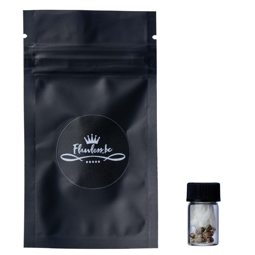 Afghan Berry Seeds – Canna Trust Delivery Service