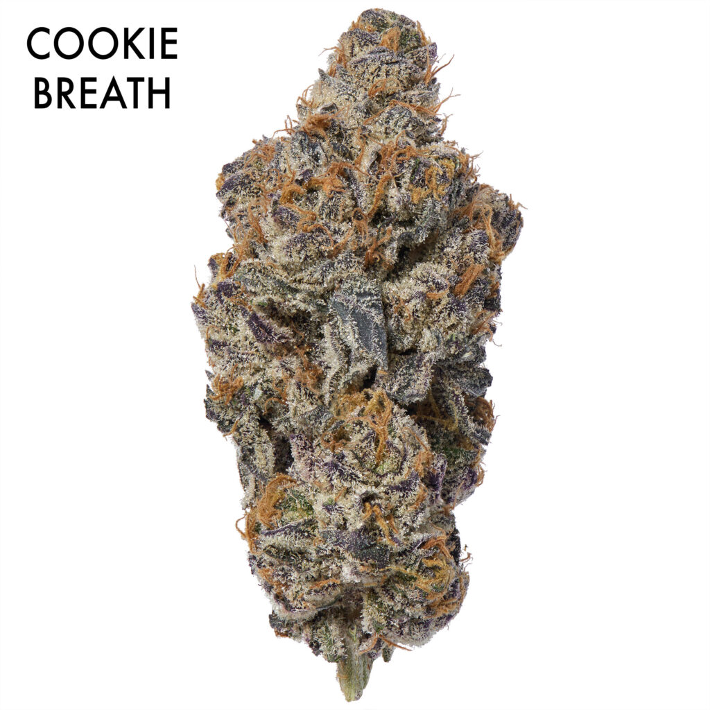 Canna Trust Delivery Service – NIAGARA’S #1 SAME-DAY CANNABIS DELIVERY ...