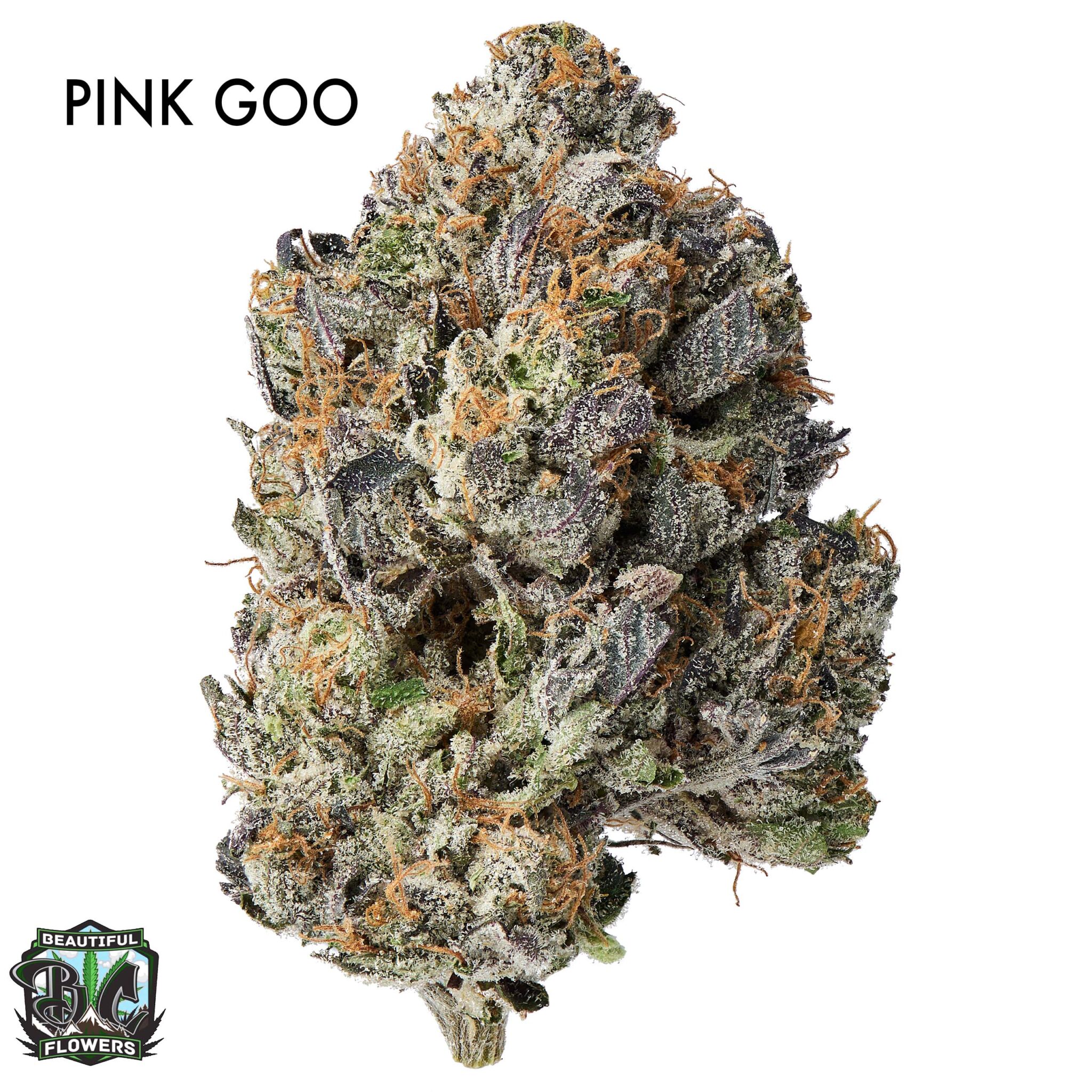 Canna Trust Delivery Service – NIAGARA’S #1 SAME-DAY CANNABIS DELIVERY SERVICE