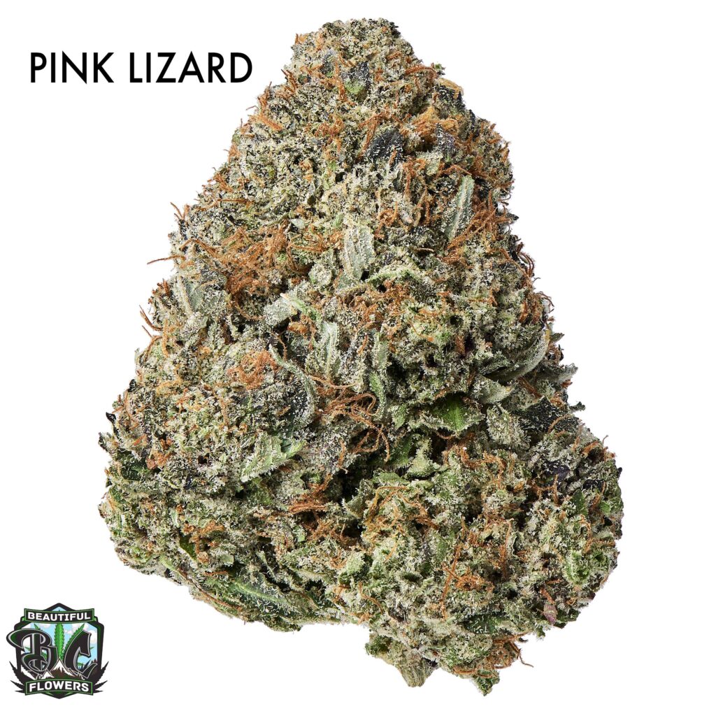 Canna Trust Delivery Service – NIAGARA’S #1 SAME-DAY CANNABIS DELIVERY SERVICE