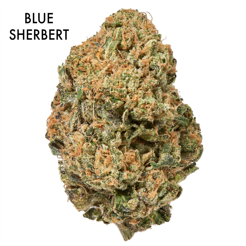ON SPECIAL FLOWER – Blue Sherbert – Canna Trust Delivery Service